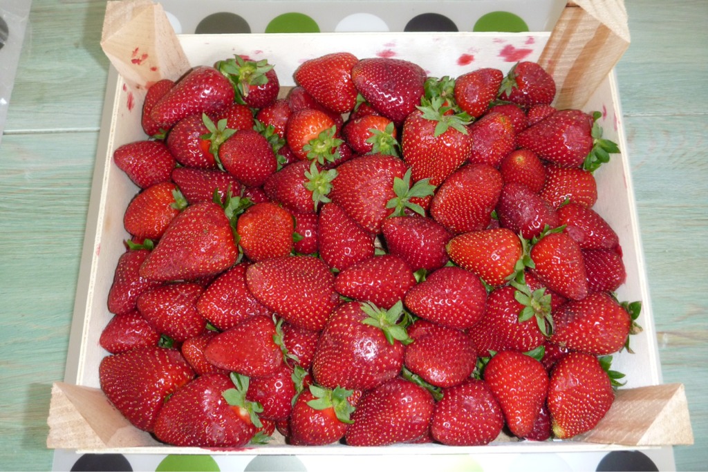 A day in Provence - Our Travels